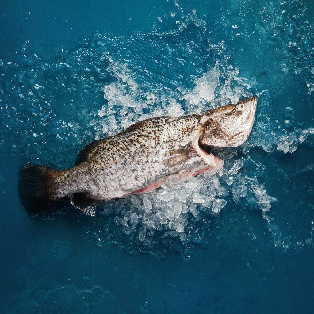 Straitsmarket Blucurrent Selection