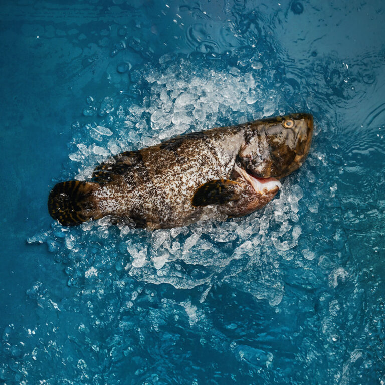 Straitsmarket Blucurrent Selection